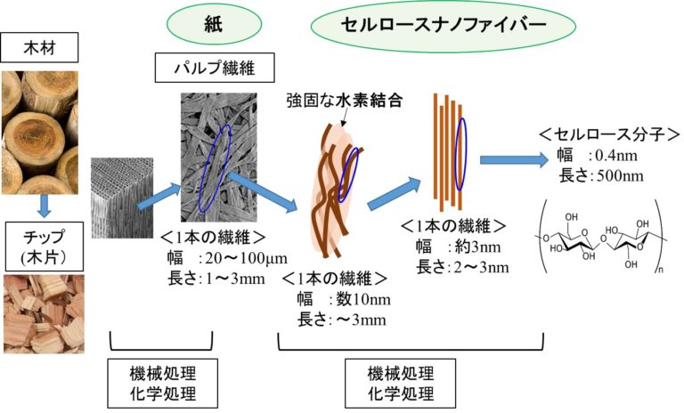 セルロースナノファイバー入門1 Cnfとは何か プラスチックス・ジャパン・ドットコム